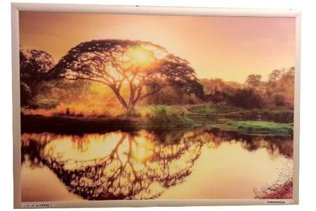 Cele mai bune Panouri Radiante - Top 5 Recomandari in 2024